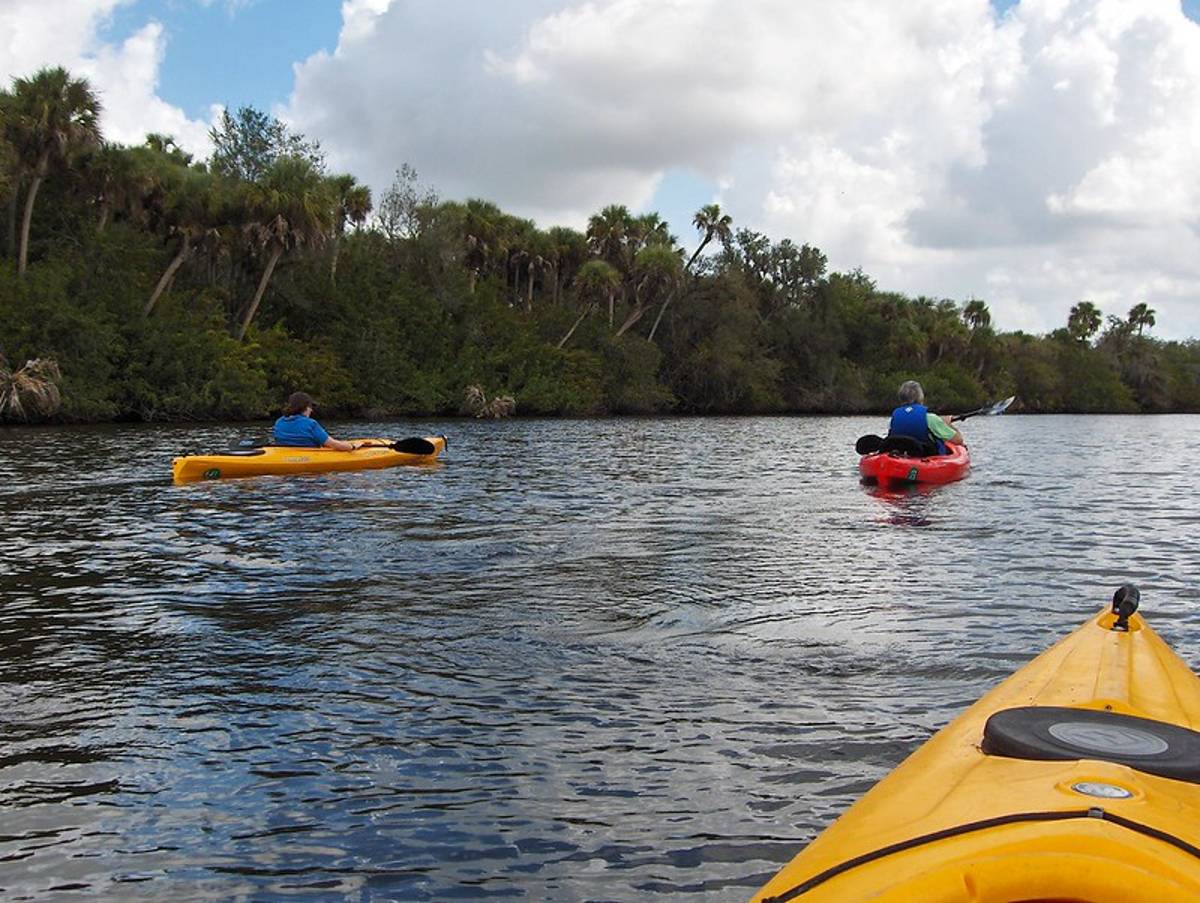 Kayaking With Manatees in Florida | 20+ Stunning Places