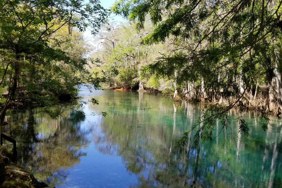 Kayaking With Manatees in Florida | 20+ Stunning Places