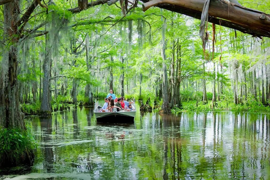9 Adventurous New Orleans Outdoor Activities | Chasing Trail