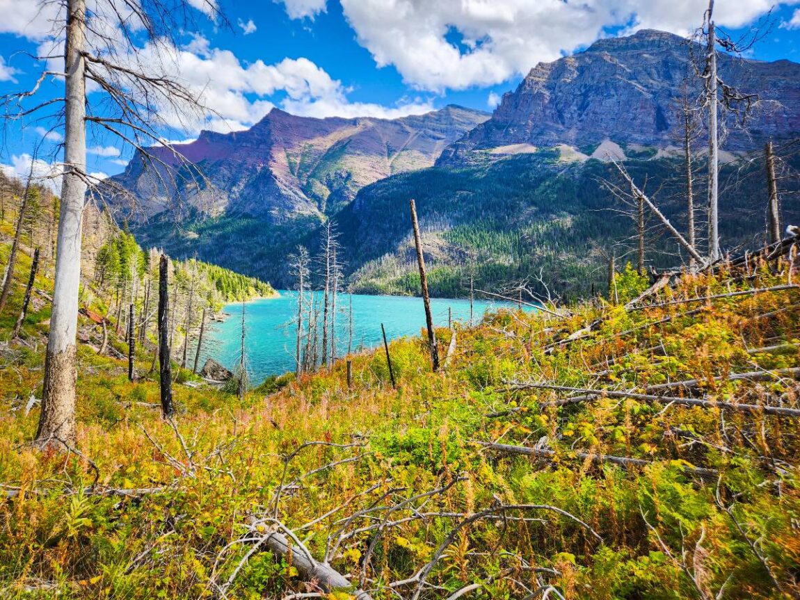 Beautiful Sun Point Nature Trail in Glacier National Park