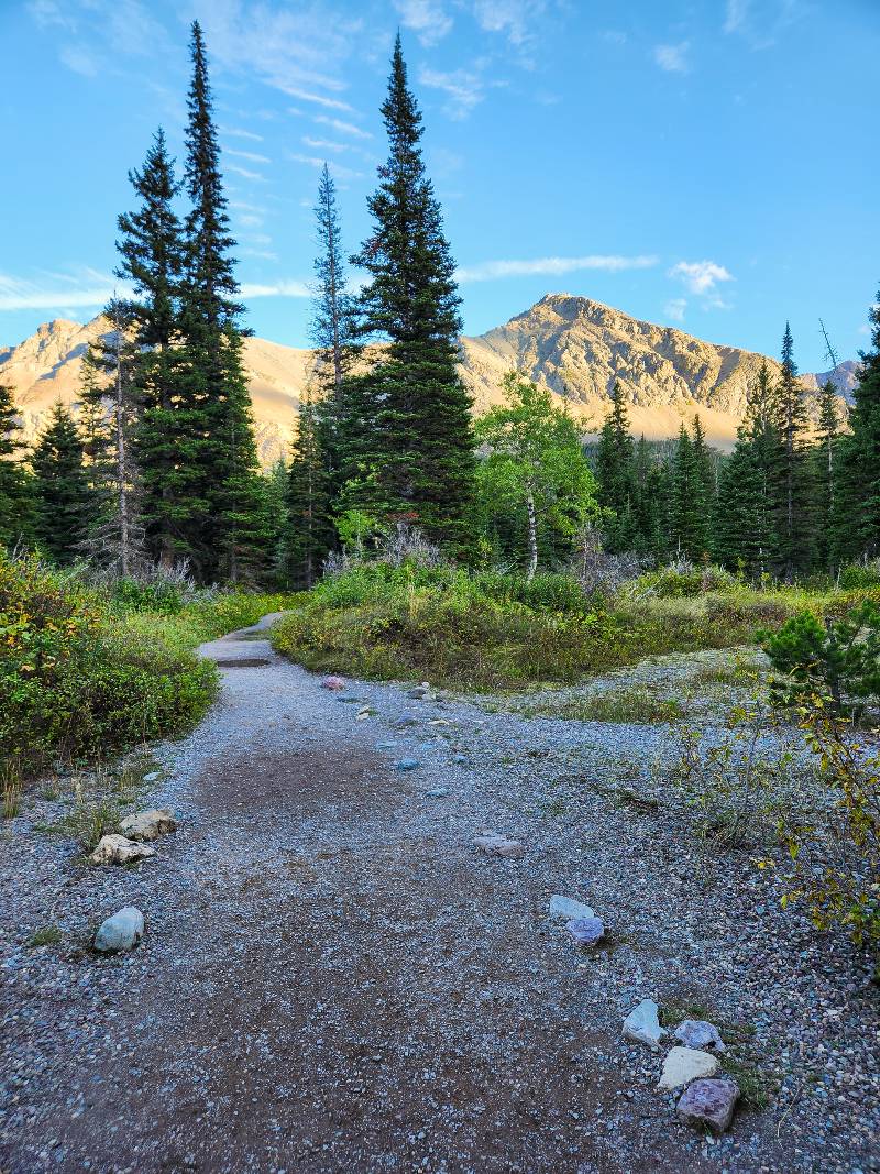 Running Eagle Falls (AKA Trick Falls): Easy Hike in Glacier
