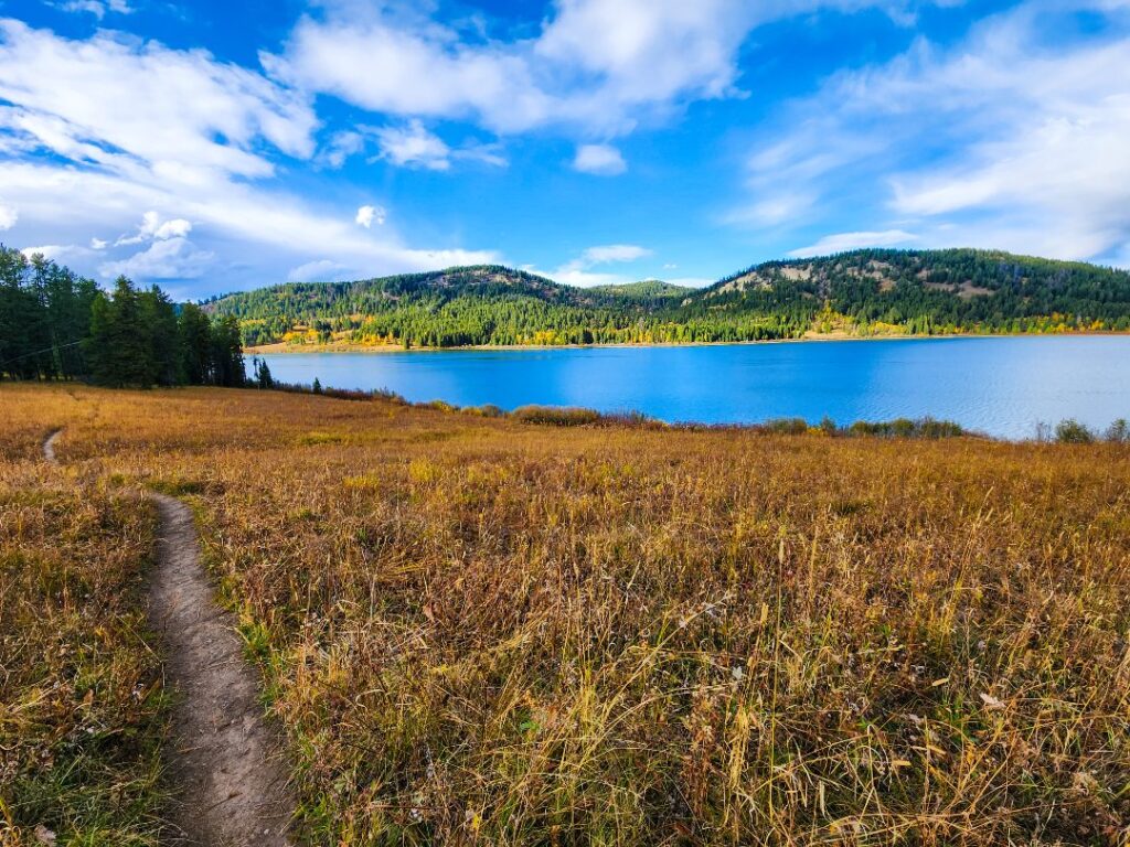 Two Ocean Lake: Uncrowded Easy Hike in the Grand Tetons