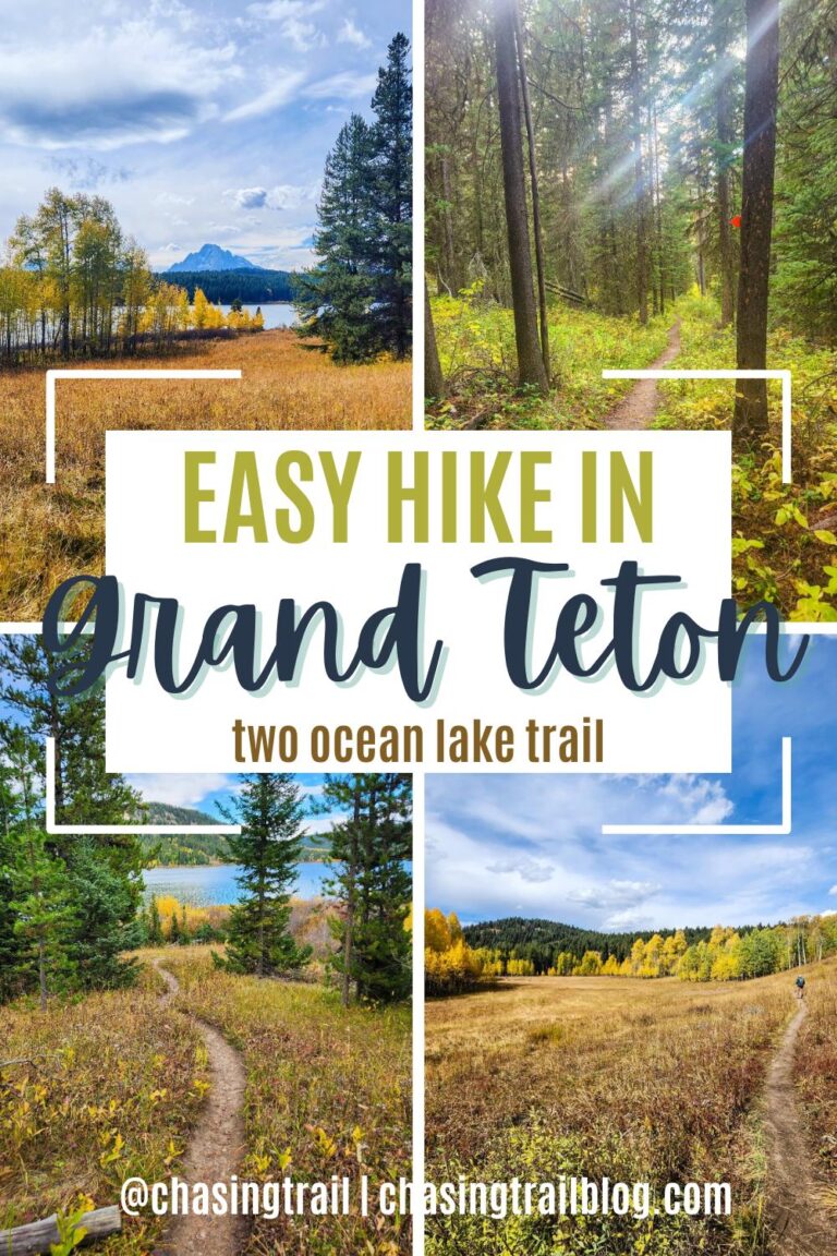 Two Ocean Lake: Uncrowded Easy Hike in the Grand Tetons