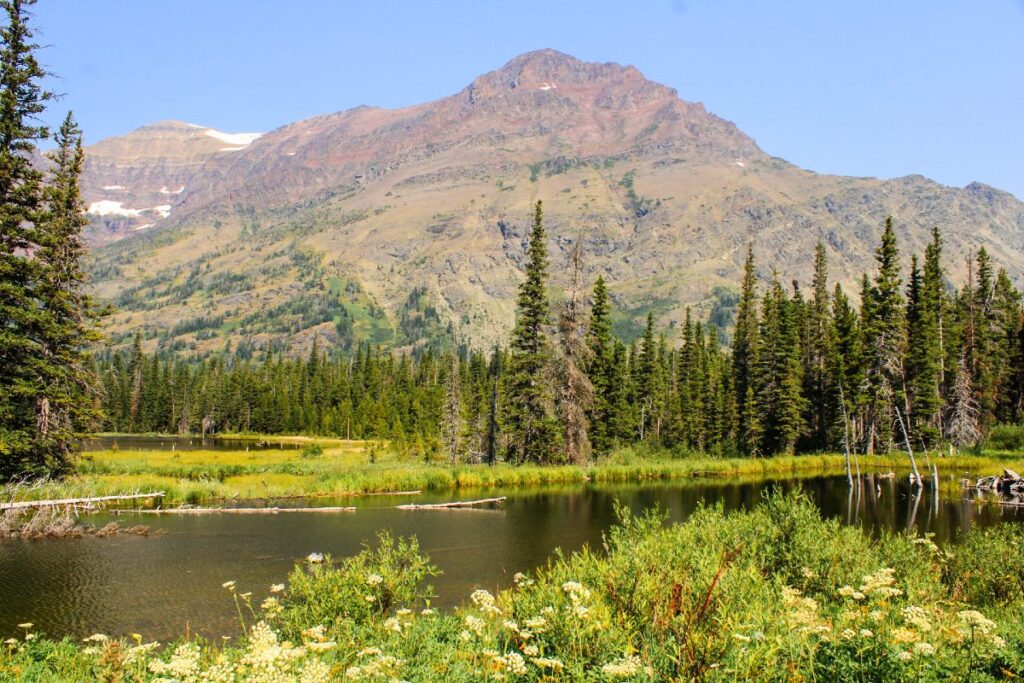 Aster Falls & Paradise Point: Glacier National Park Hike
