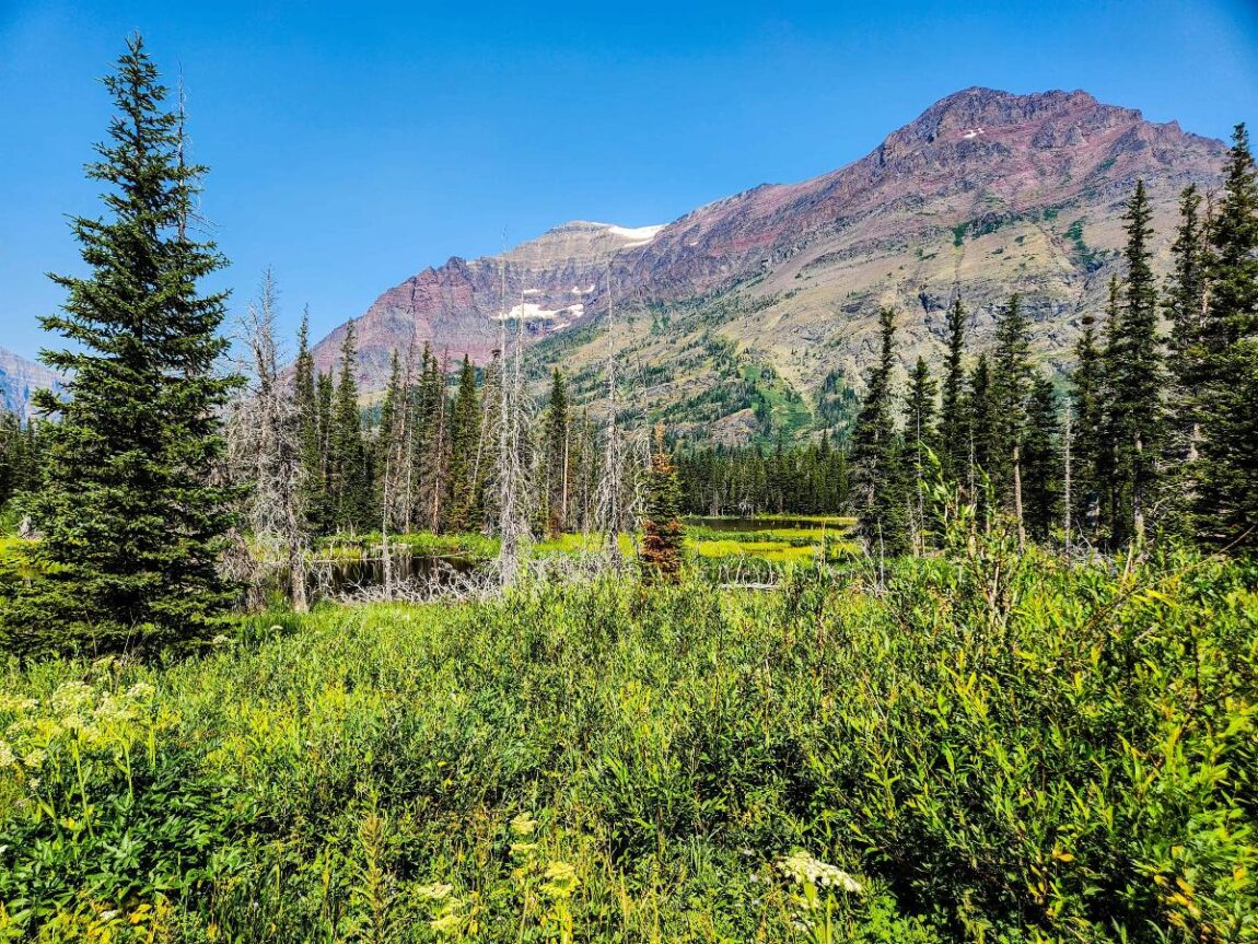 Aster Falls & Paradise Point: Glacier National Park Hike