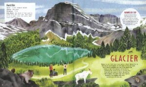 55 Best National Park Books to Fuel Your Adventurous Spirit