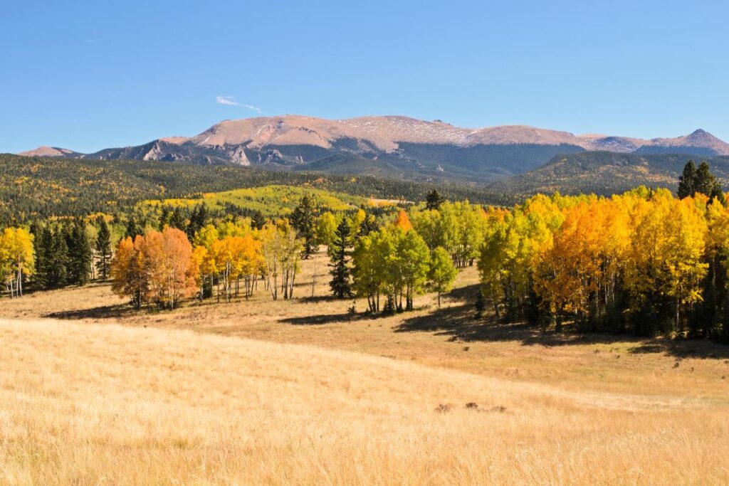 21 Best Fall Hikes in Colorado From Easy to Challenging