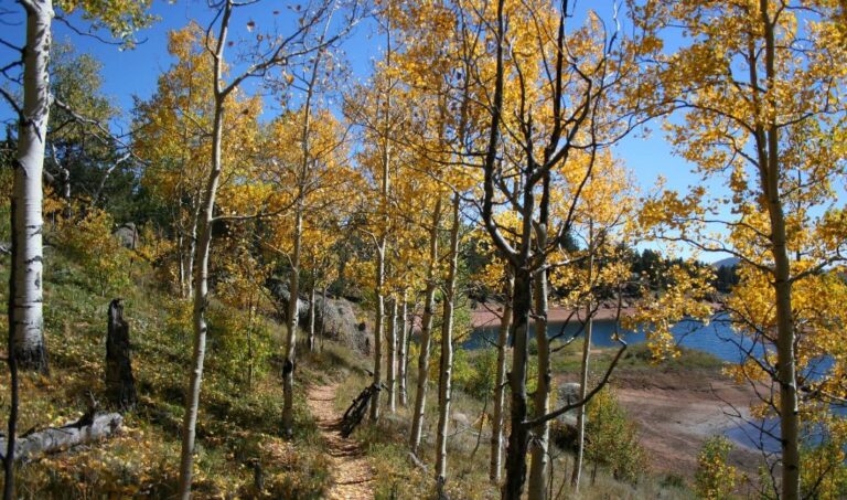 21 Best Fall Hikes in Colorado From Easy to Challenging