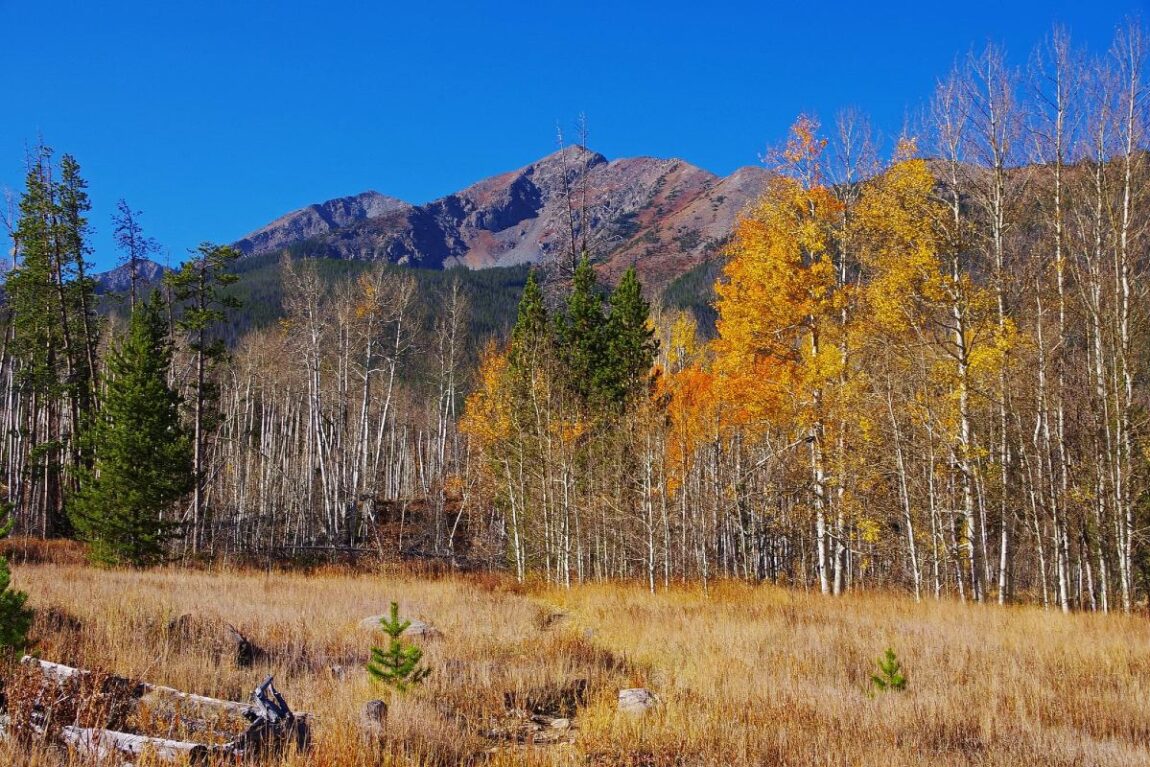 21 Best Fall Hikes in Colorado From Easy to Challenging