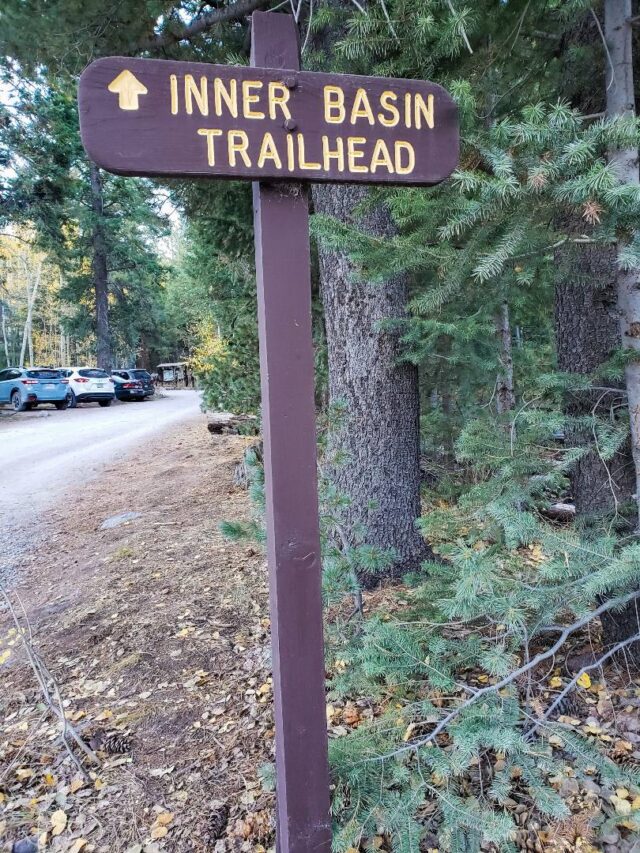 Hike the Stunning Inner Basin Trail Near Flagstaff Arizona