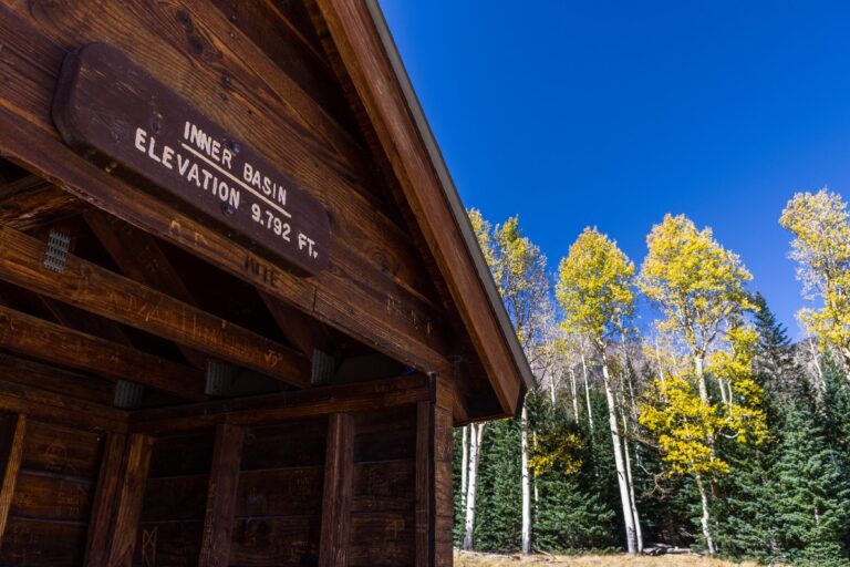Hike the Stunning Inner Basin Trail Near Flagstaff Arizona
