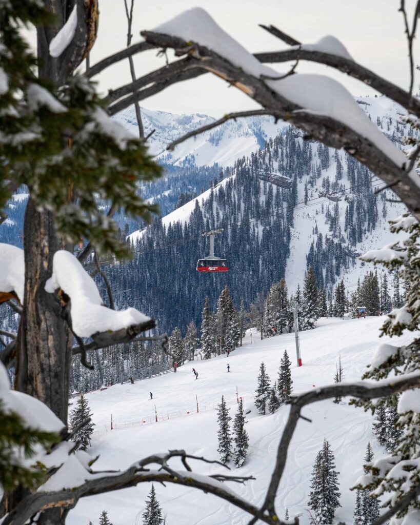 20 Amazing Things to Do in Jackson Hole in Winter