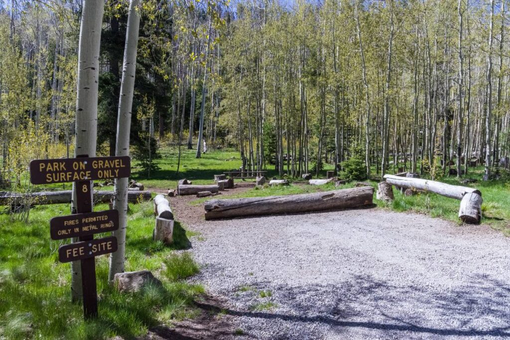 Hike the Stunning Inner Basin Trail Near Flagstaff Arizona
