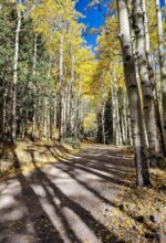 Hike the Stunning Inner Basin Trail Near Flagstaff Arizona