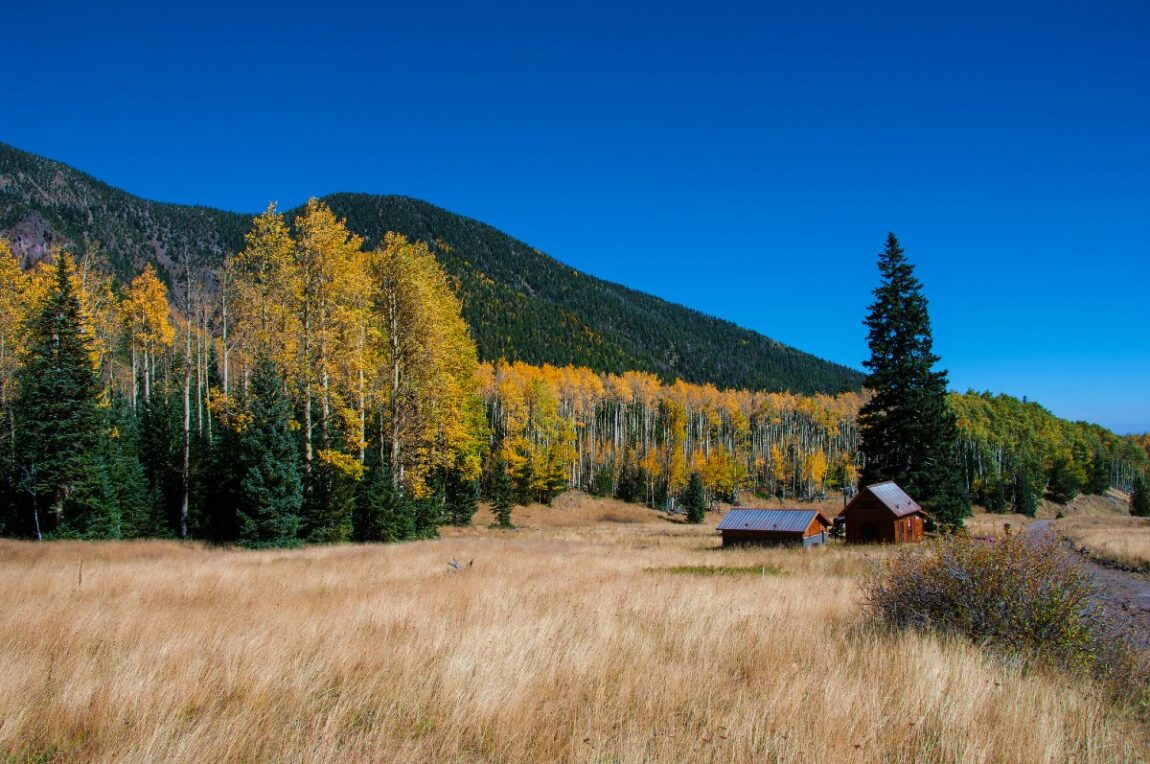Hike the Stunning Inner Basin Trail Near Flagstaff Arizona